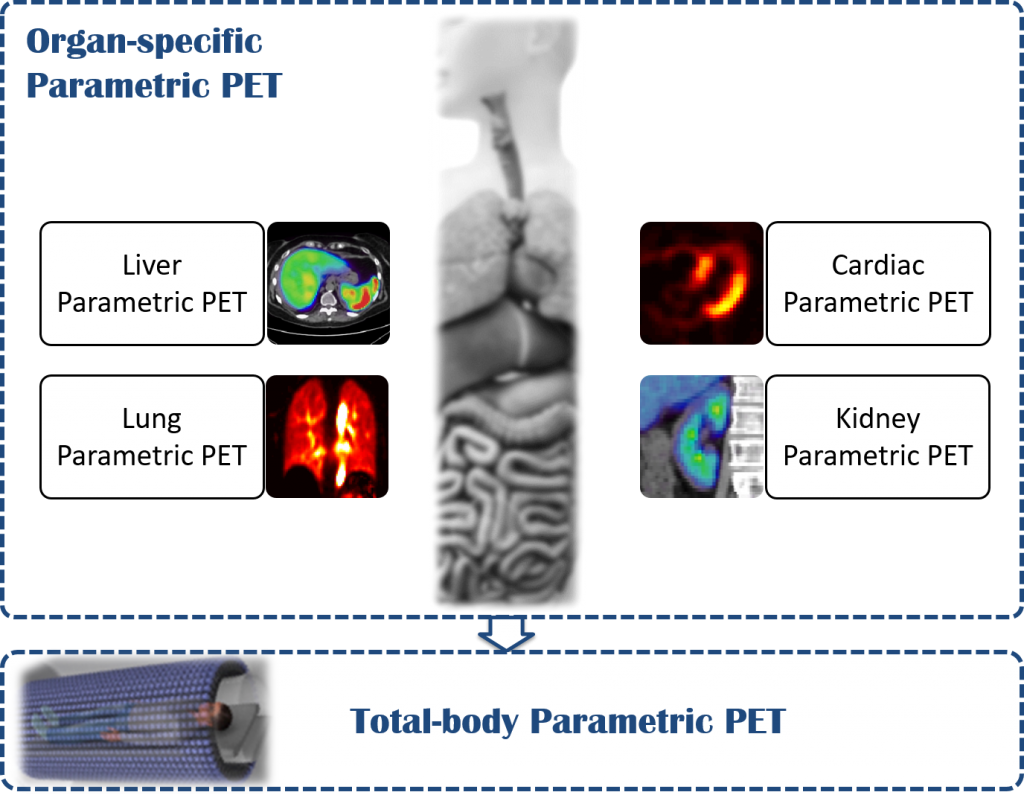 Research – Wang Lab – PET Parametric Imaging